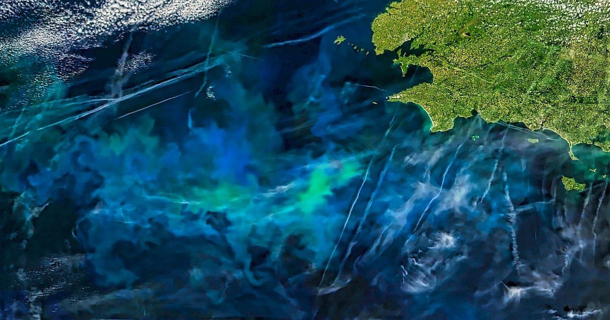 Lumină albastră pe ocean: un fenomen surprinzător fotografiat de NASA ...