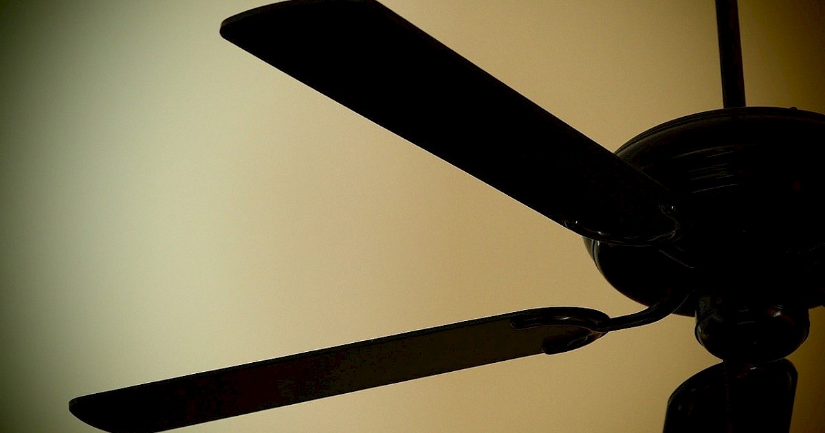 Fobii surprinzătoare din întreaga lume - Drive Magazine