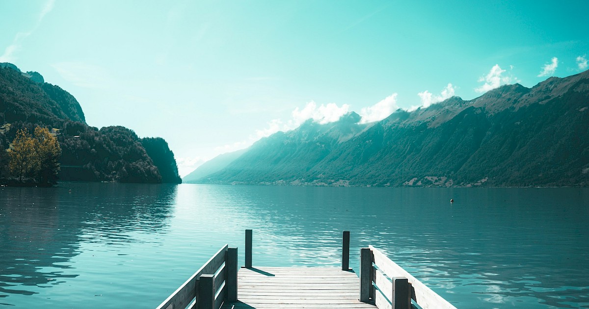 O mică avere oferită pentru oricine furnizează idei utile guvernului ...