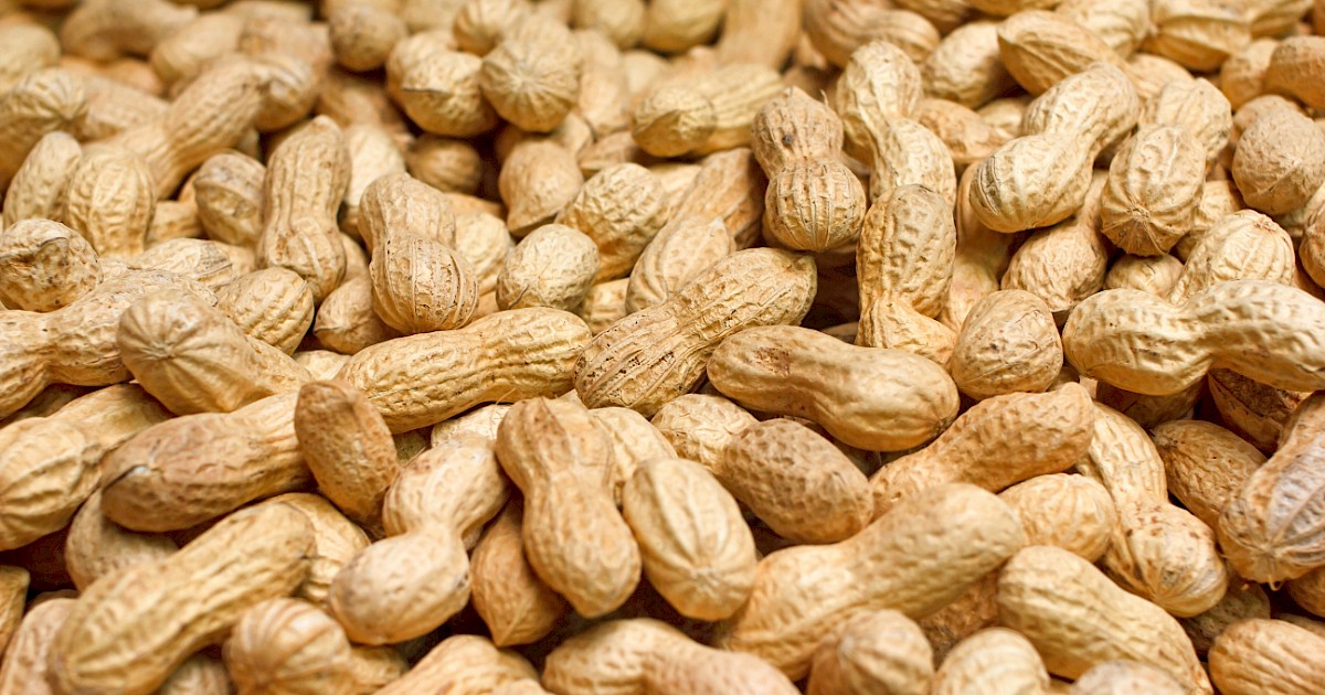 Tot ce trebuie să știi despre arahide: beneficii, utilizări și ...